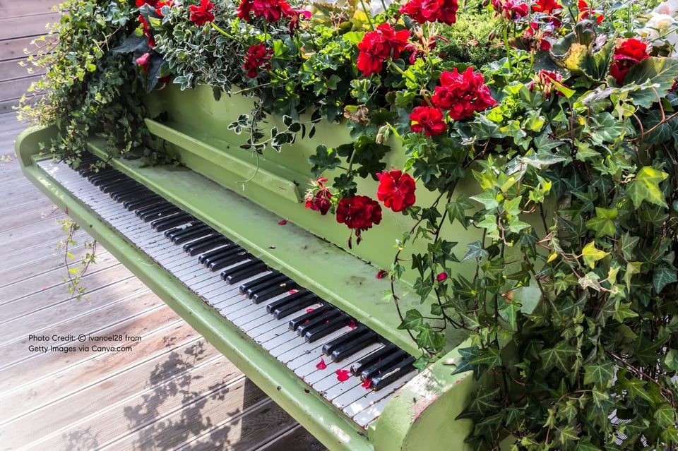 Flower Piano