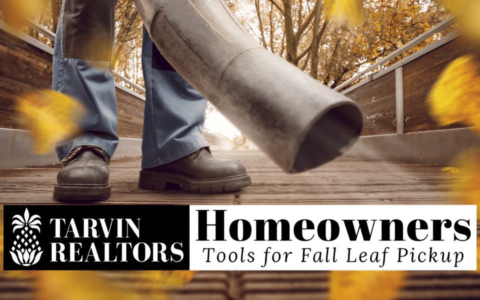 Tools to Make Fall Leaf Pick Up Easier
