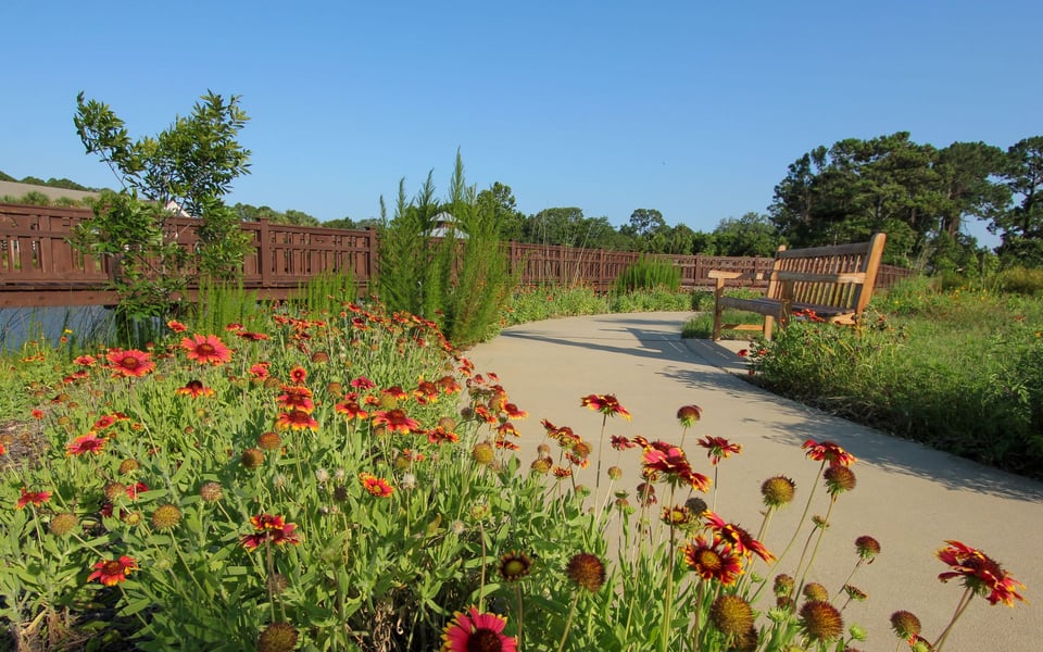 Ponte Vedra | Our Town Guide | CIRE Fire Coast