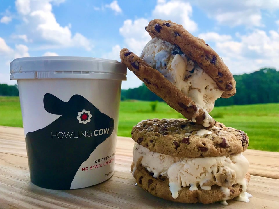 Howling Cow Ice Cream in Raleigh | Jami Amidon