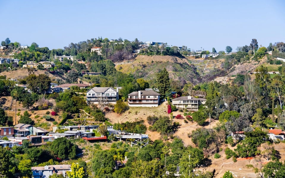 Bel Air | Neighborhood Area Guide | Luis Pezzini