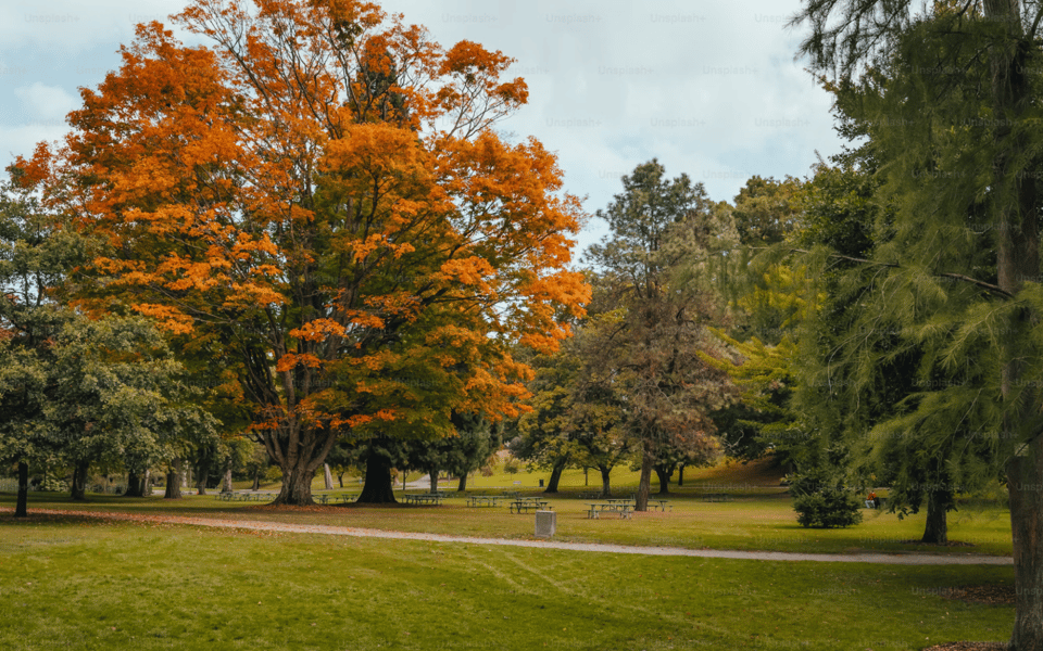 Top Outdoor Activities in Ridgewood, NJ | Blog | The Home Navigators