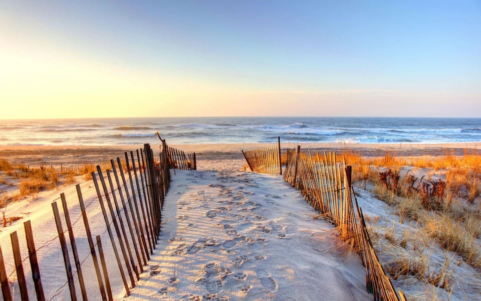 Everything You Didn't Know About Life in The Hamptons | Blog