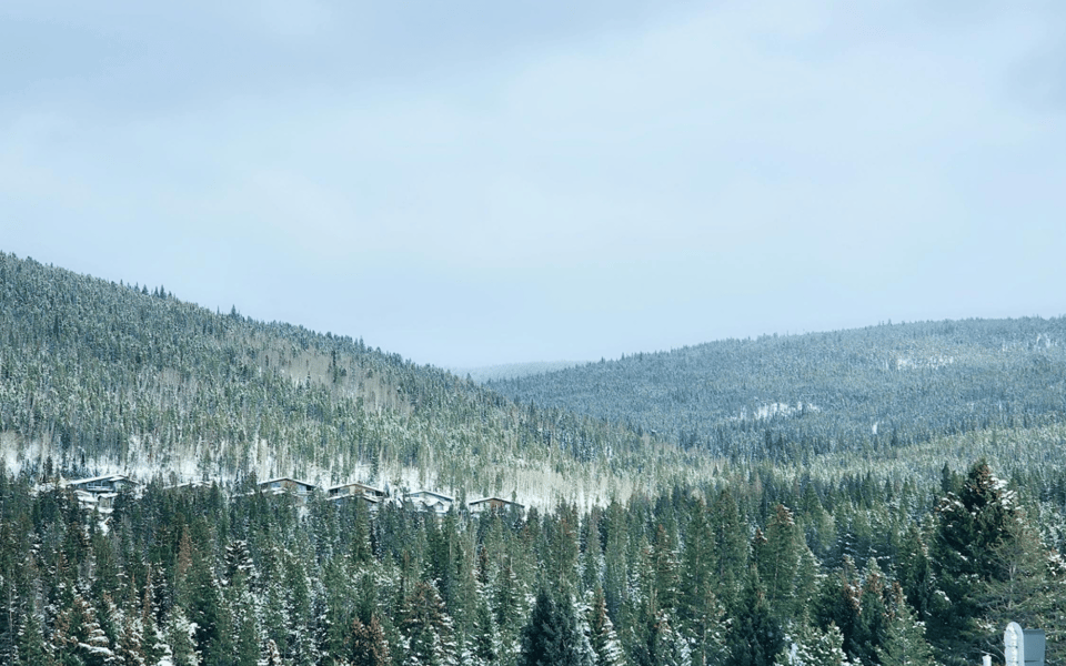 Living on Top of the World: Enhancing the Views in Your Vail Home ...