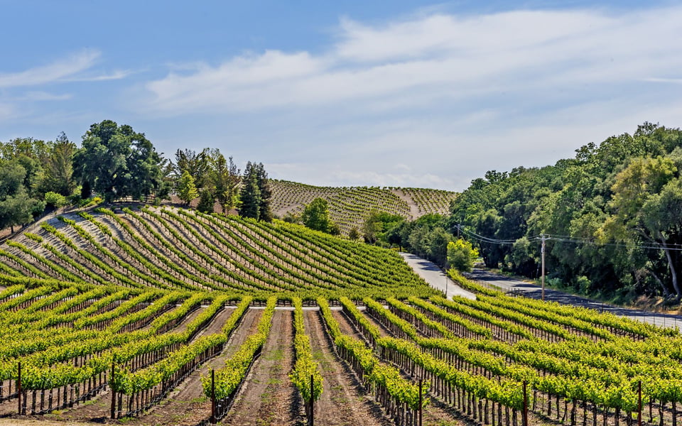 Santa Maria, CA Real Estate | Total Real Estate Advisors