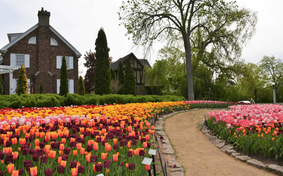 The Glebe Annex | Neighbourhood Guide | Brahim Alaoui Mrani