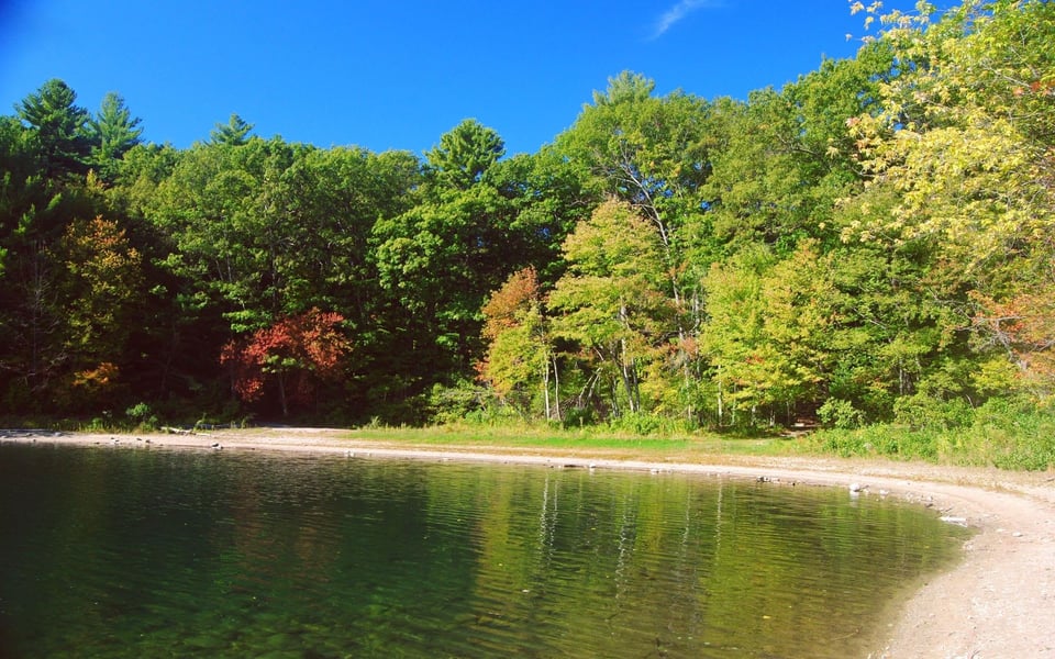 Crystal Lake | Neighborhood Guide
