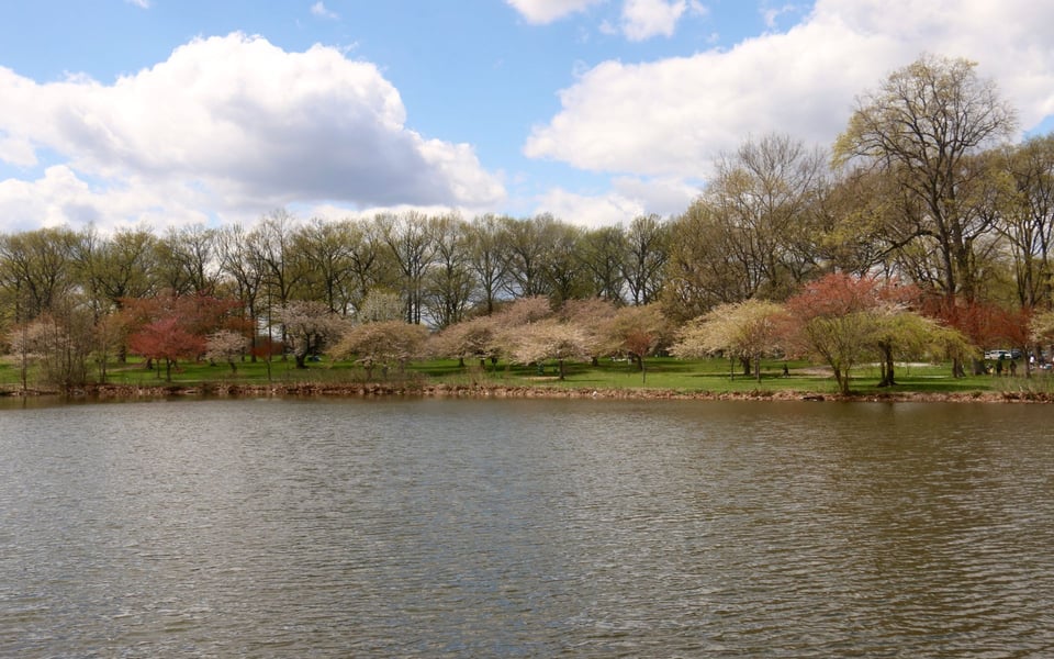 Roselle Park, NJ | Neighborhood Guide | Premier Homes