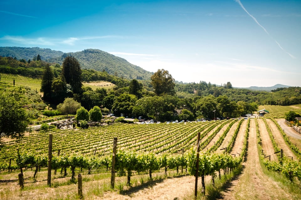 TOP HIDDEN GEMS IN SONOMA VALLEY: SPRING 2022 EDITION | Blog | Lorene ...