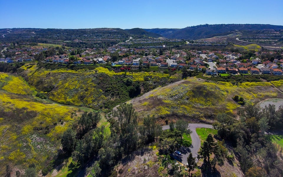 Laguna Niguel | Neighborhood Guide | The Sandler Group