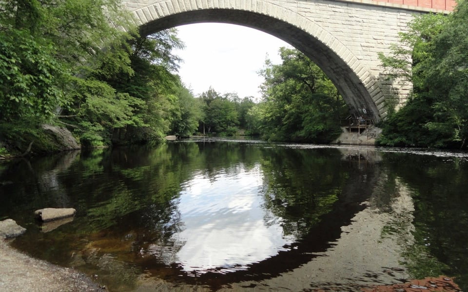 Newton | Neighborhood Guide