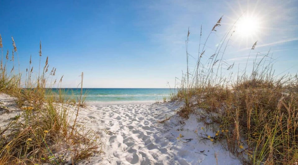 Inlet Beach, FL Real Estate & Homes For Sale | The Beach Group