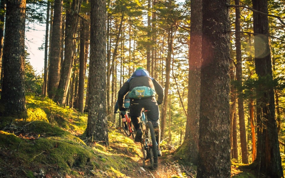 8 Things to Do in Blue Ridge, Georgia | Blog | Laura Elleby