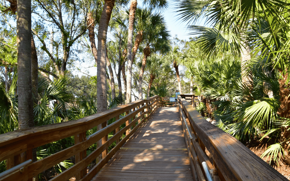 A Guide to Delray Beach, FL Parks | Blog | The Patrick and Ryan Team