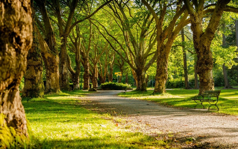 A Guide to Pasadena Parks | Blog | The Middleman Team