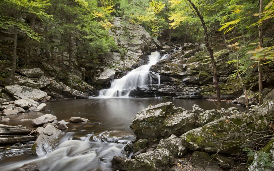 Dalton | Community Area Guide | Cameron Volastro