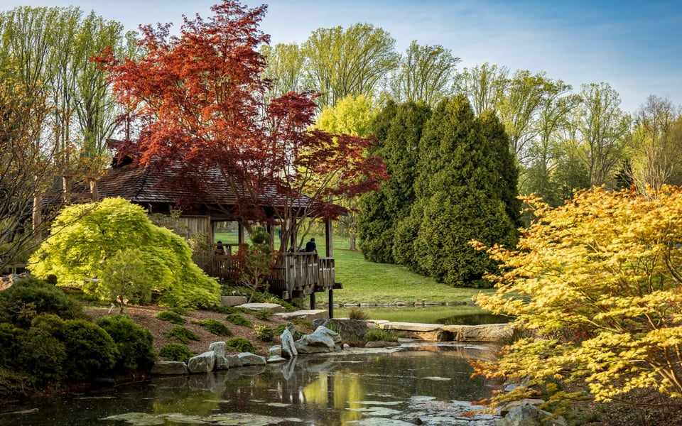 Discover Silver Spring Real Estate – Your Dream Home Awaits