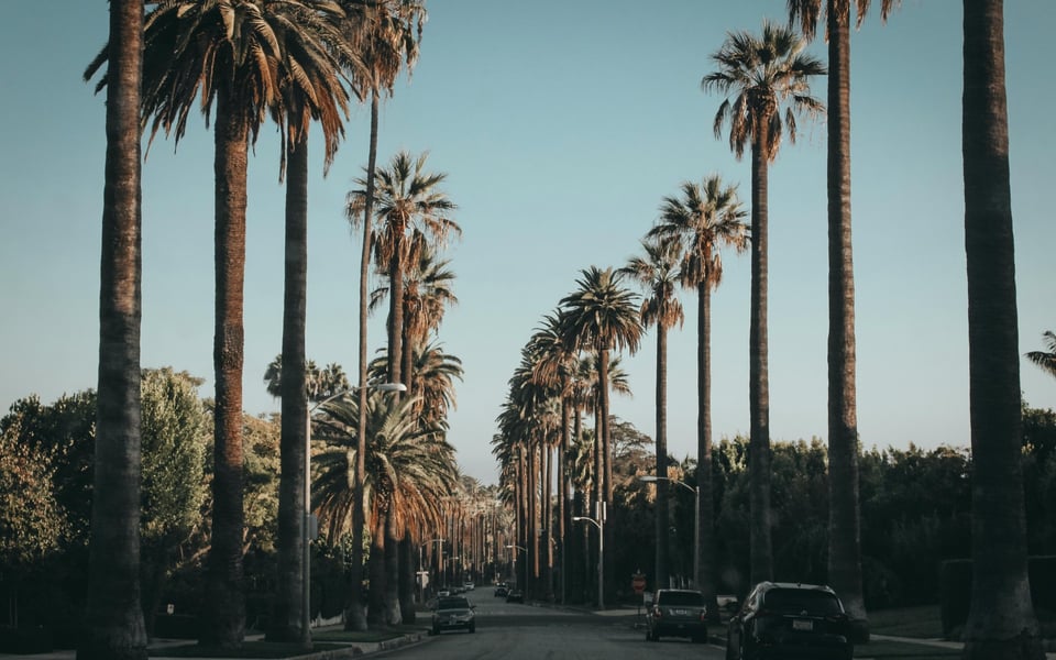Indian Canyons Palm Springs Real Estate | Marco Colantonio