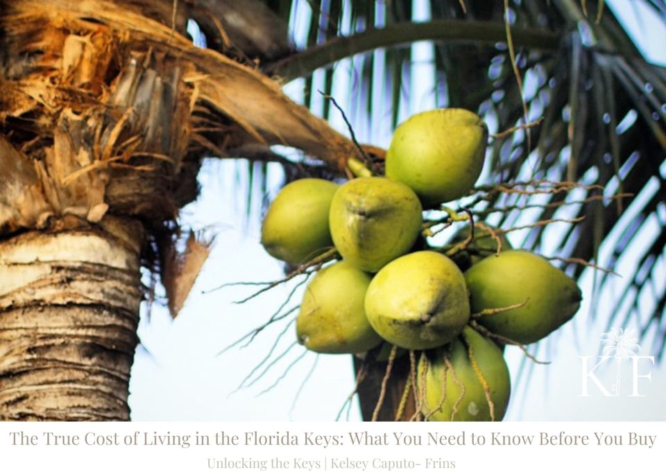 Florida Keys Cost of Living Breakdown: Housing, Insurances, Utilities ...