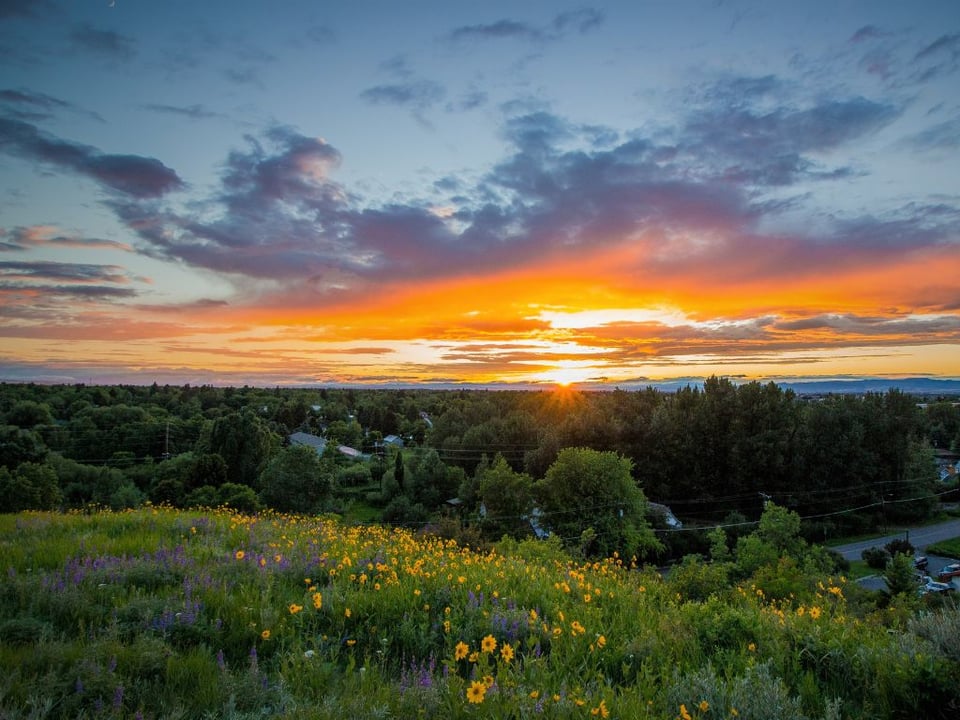 Best Hikes Near Bozeman to Welcome Spring | Alpine Trails
