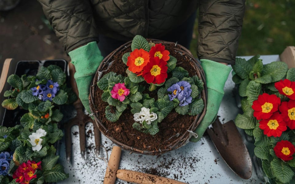 A Beginner’s Guide to Starting a Garden at Home | Blog | Mark Vantress