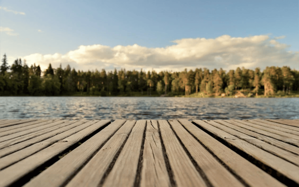 Living on Lake Sammamish | Blog | Margo Allan