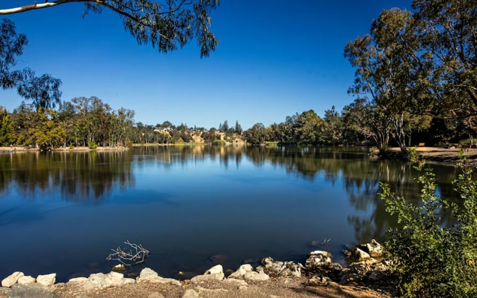 A Guide to the Parks of Los Gatos | Blog | Mark Vantress