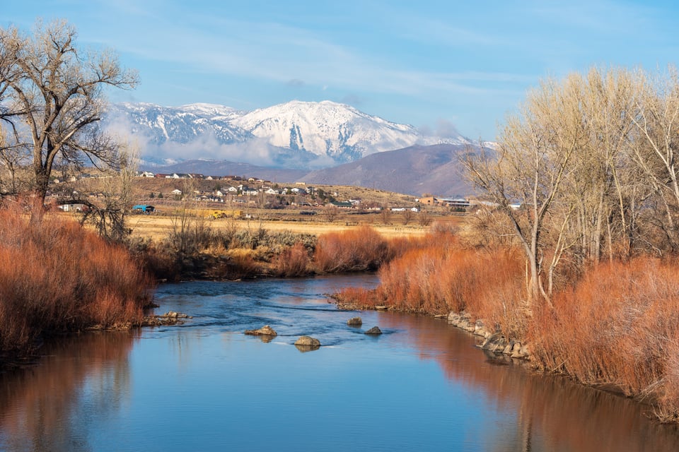 Carson City | Neighborhood Guide