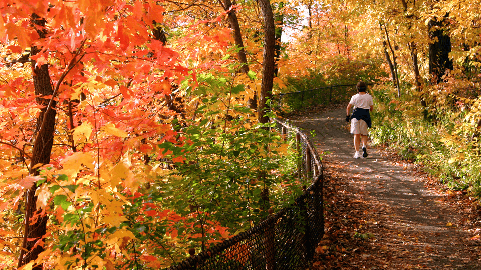 Best Fall Hikes - DMV | The Jacobs Group