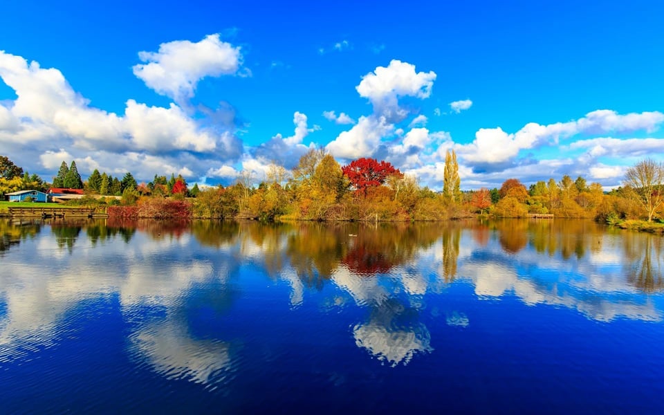Beaverton | Neighborhood Guide | Fendon Properties Team