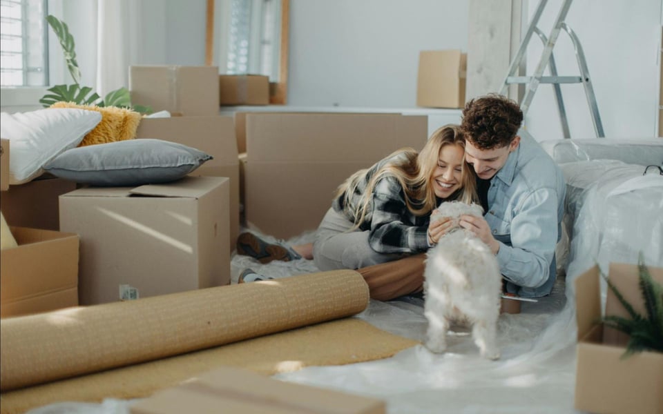 7 Tips for Moving with Pets | Blog | Beth Chang