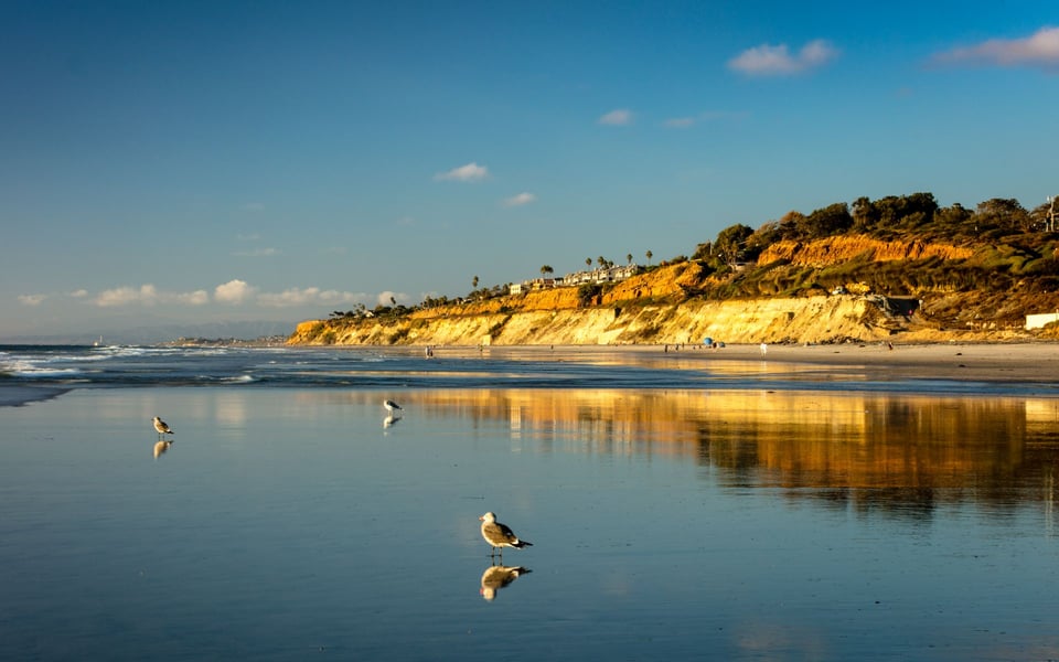 Del Mar | Neighborhood Guide | Jeff Davidson Group