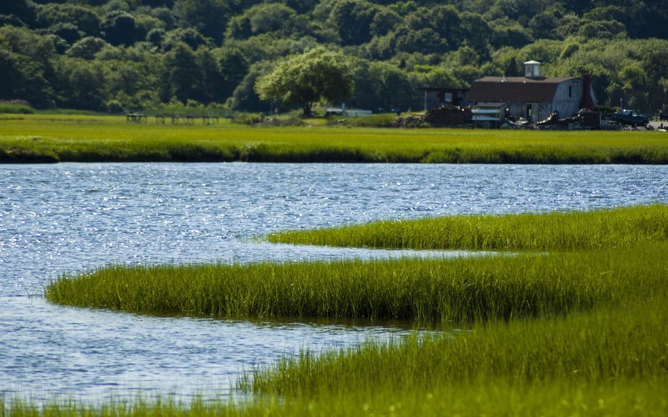 Marshfield | Neighborhood Guide | The Gail Bell Group | The Gail Bell ...