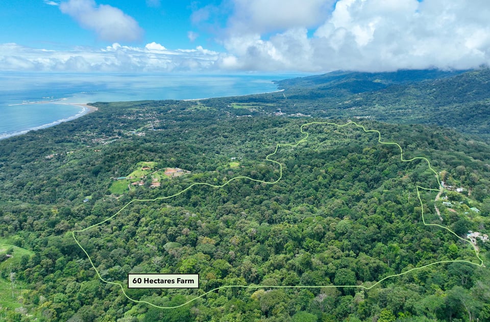 60-Hectare Farm with Ocean Views and Rainforest in Uvita, Costa Rica