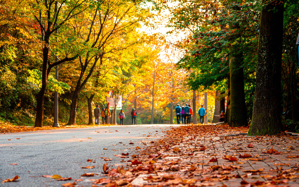 The Fall Housing Market is Heating Up | Toronto Real Estate Team