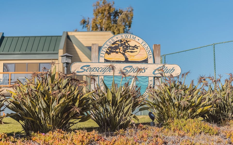 Explore Aptos | Your Ultimate Neighborhood Guide