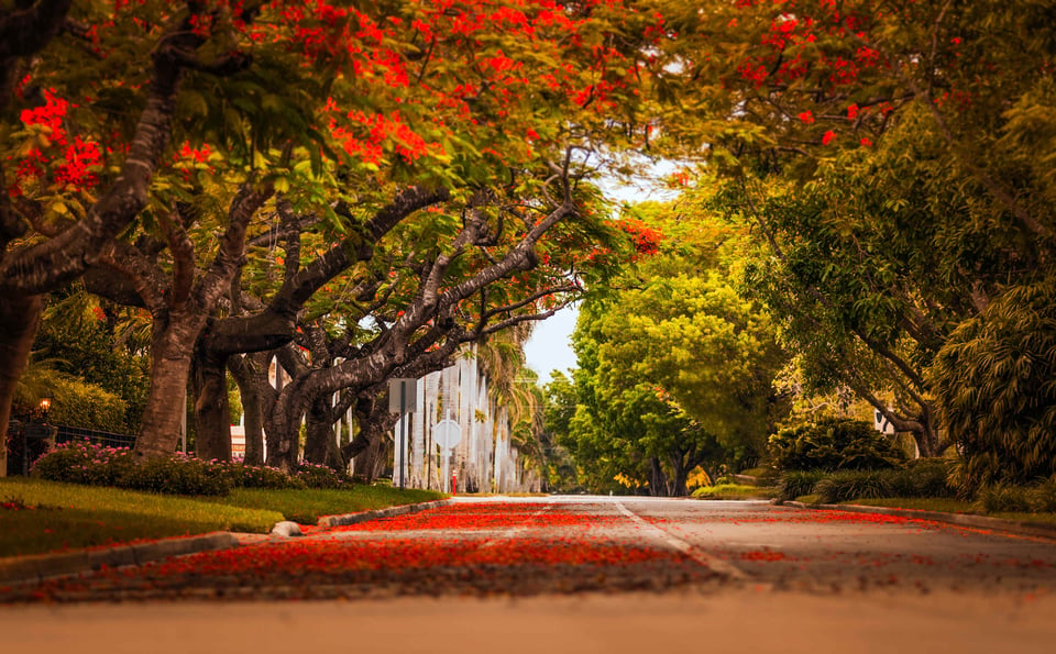 Naples - Fall | Asbel Team
