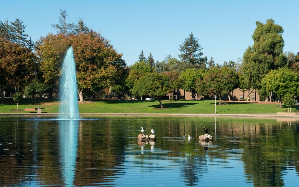 Sunnyvale Real Estate – Discover Your Dream Home Today