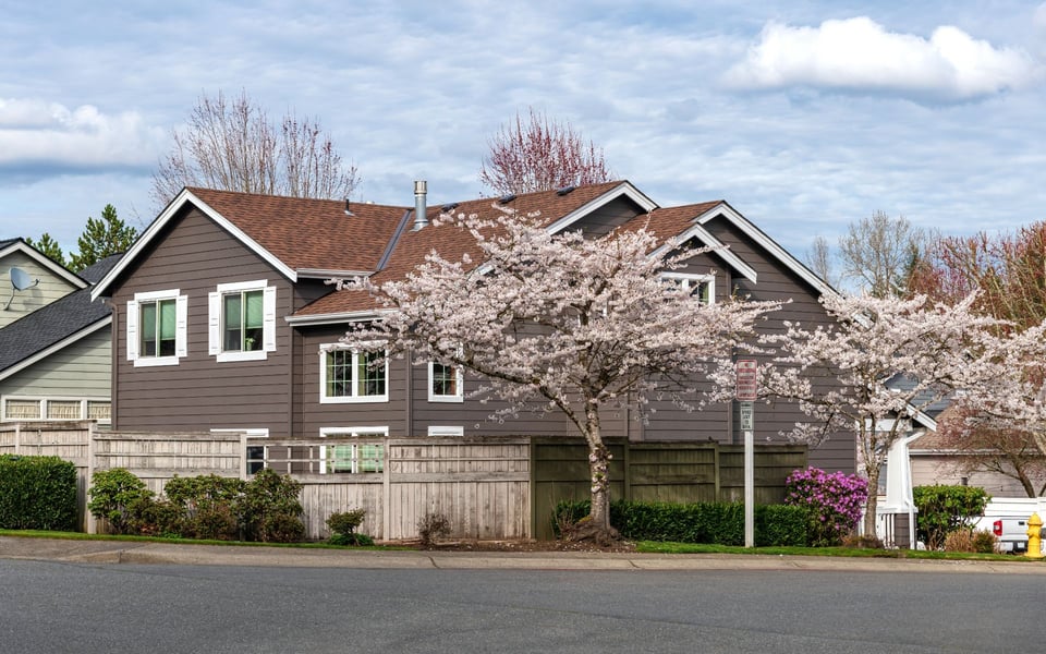 Explore Kent | Neighborhood Guide | Lara Nelson