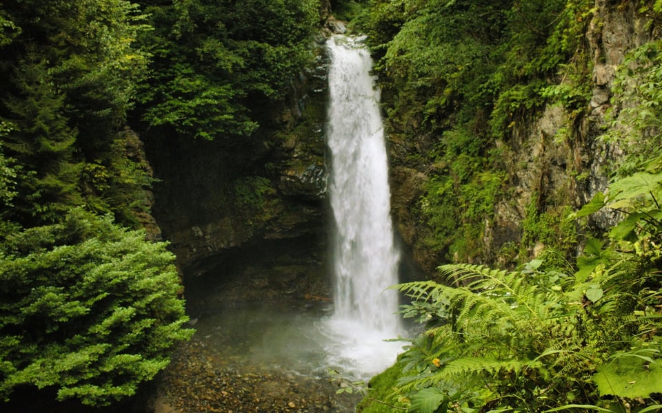 Explore Waterfall | Neighborhood Guide | Peace SIR