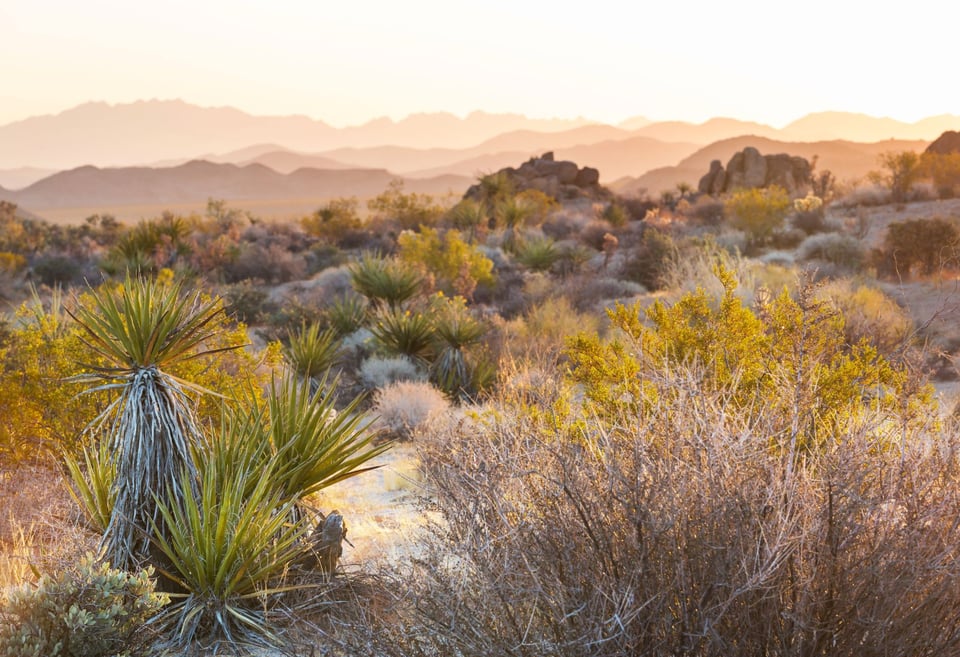 Quarter 3 Desert Real Estate Market Update - Buyer & Seller Insights ...