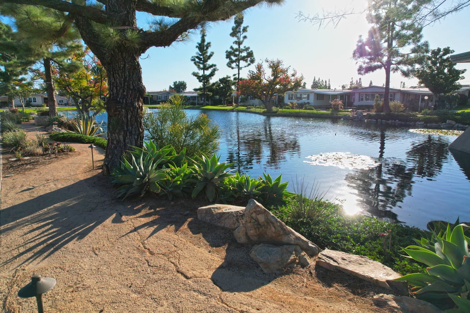 Planting Roots in North Orange County | Darlene Lopez