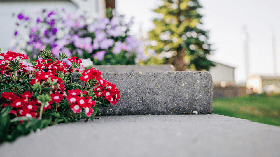 Enhance Your Home’s Curb Appeal: First Impressions Matter!