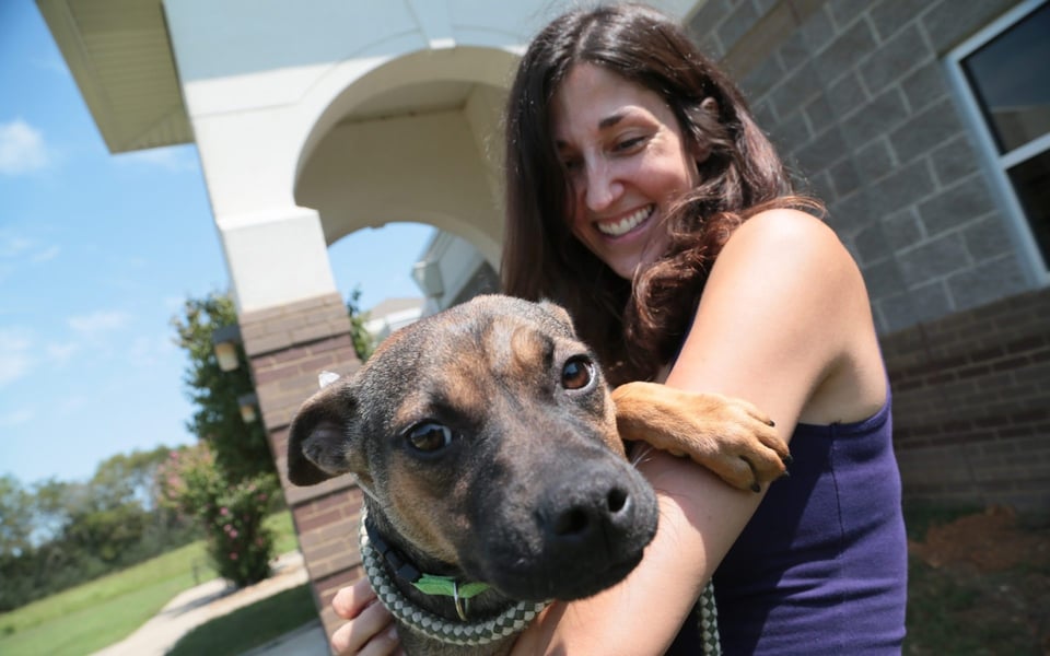 Laura Prechel's Mission to Save Stray Dogs