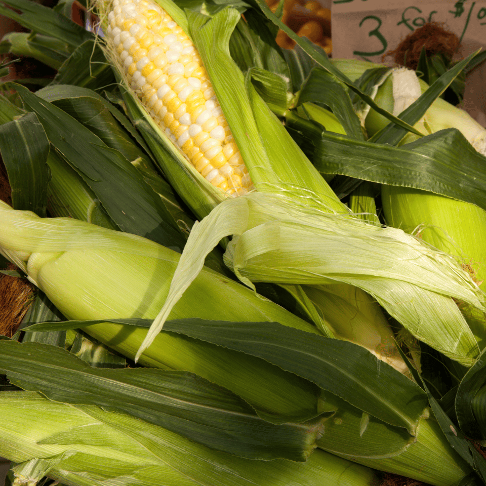 Fountain Hills Summer Sweet Corn Farmers Market