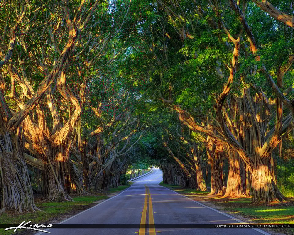 Things You Need To Know About Atlantic Fields in Hobe Sound