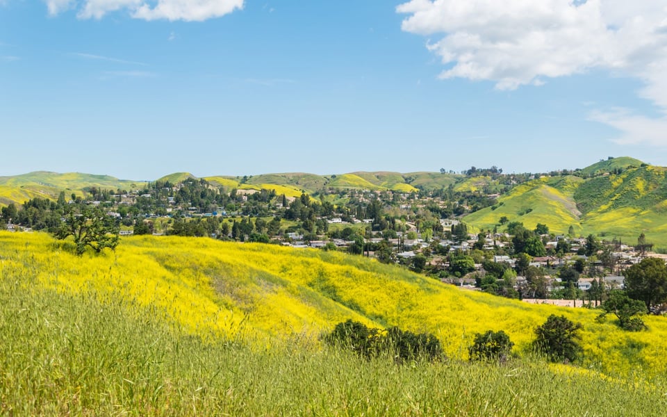 Calabasas, CA Neighborhood Guide & Homes | Tom Dolezel