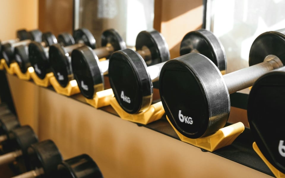 A Guide to Fitness Centers & Gyms on Lake Sammamish | Blog | Margo Allan