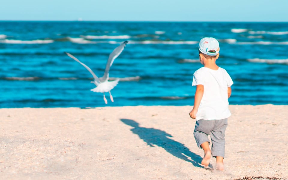 Summer Is Here | Christy Crouch