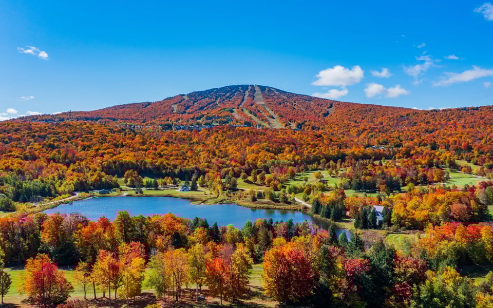 Winhall | Neighborhood Guide | Wohler Realty Group